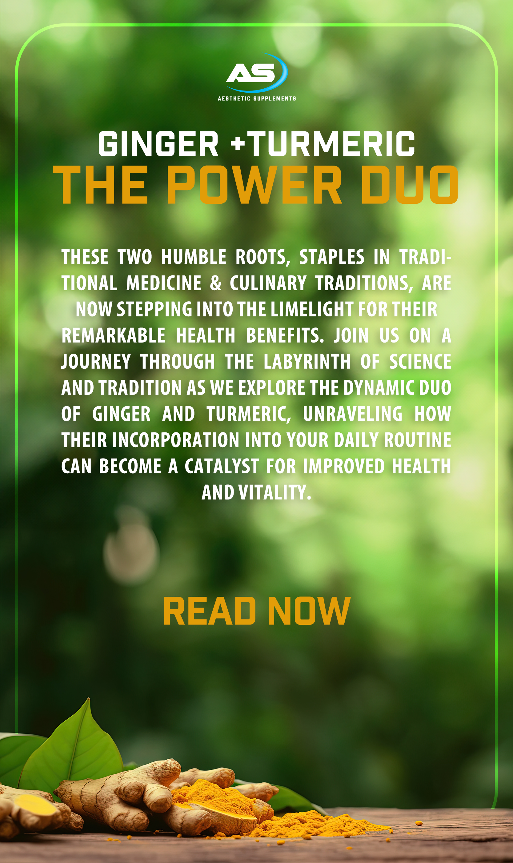 Ginger + Turmeric: The Power Duo – Aesthetic Sports
